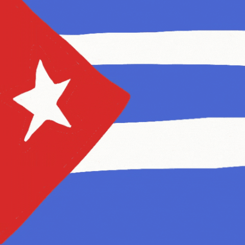 Cuban Flag Cuba GIF by Luis Ricardo - Find & Share on GIPHY