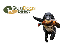 Gun dogs direct store