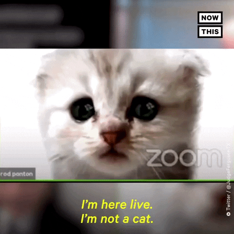 Zoom-filter GIFs - Get the best GIF on GIPHY