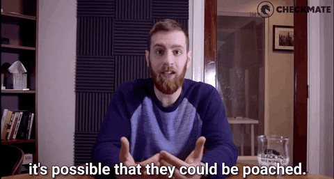 Business Partnership GIFs - Get the best GIF on GIPHY