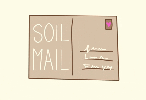 Mail Postcard GIF - Find & Share on GIPHY
