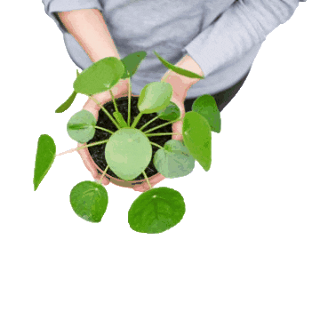 KMN GIFs on GIPHY - Be Animated