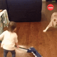 Oem GIFs - Get the best GIF on GIPHY