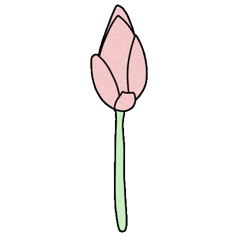 Animated Flowers Blooming Gif