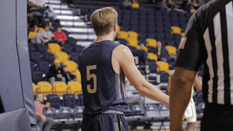 Montana State Go Cats GIF by MSU Bobcats - Find & Share on GIPHY