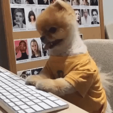 Dog Working GIF by Jiffpom - Find & Share on GIPHY