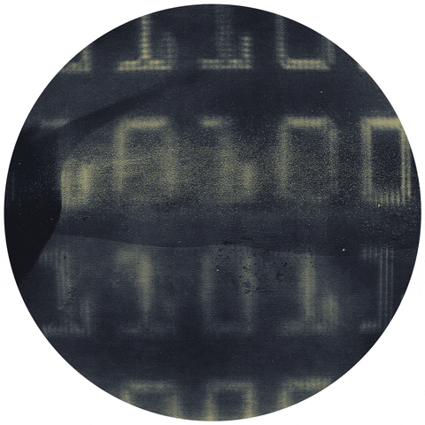 Analog Photography GIFs - Find & Share on GIPHY