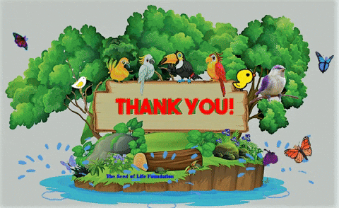 Food Thank You GIF by The Seed of Life Foundation - Find & Share on GIPHY