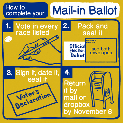 Election-ballot GIFs - Get the best GIF on GIPHY