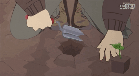 Plant-parenthood GIFs - Get the best GIF on GIPHY