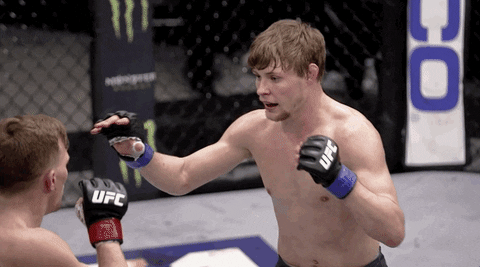 The Utlimate Fighter GIFs - Get the best GIF on GIPHY