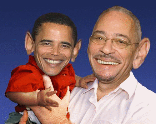 Democratic Candidates GIFs - Get the best GIF on GIPHY