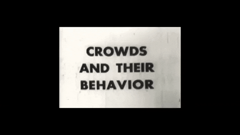 Law-enforcement-agency GIFs - Get the best GIF on GIPHY