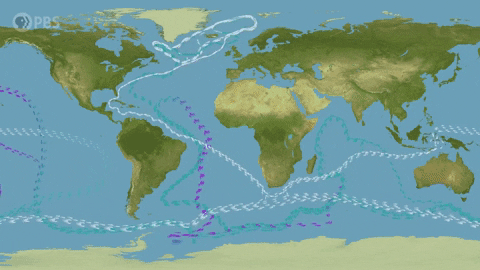 Conveyorized GIFs - Get the best GIF on GIPHY