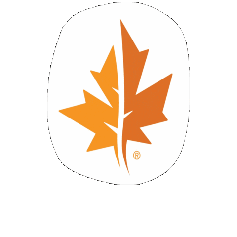 Twin Cities In Motion GIFs on GIPHY - Be Animated