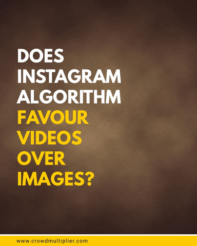 GIF by Crowd Multiplier - Find & Share on GIPHY