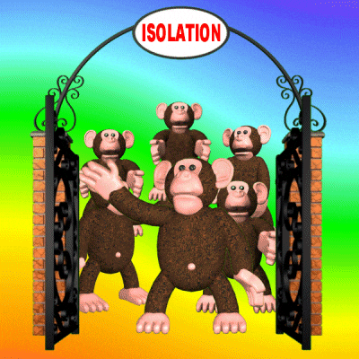 Isolement GIFs - Get the best GIF on GIPHY
