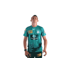 HEAT BBL GIFs on GIPHY - Be Animated