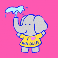 Wildlife-protection GIFs - Get the best GIF on GIPHY