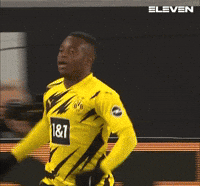 Borussia Dortmund Fans Gif
