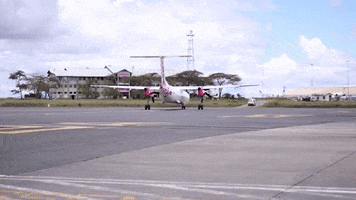 Plane Taking Off GIFs - Find & Share on GIPHY