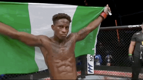 Nigerian Flag GIFs - Get the best GIF on GIPHY