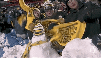 Pittsburgh Steelers GIFs on GIPHY - Be Animated