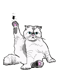 Meredith Cat Gif