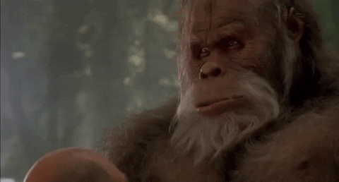 Harry And The Hendersons Gif
