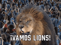 Lets-go-lions GIFs - Get the best GIF on GIPHY