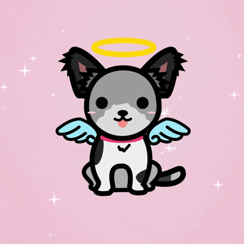 Dog-angel GIFs - Find & Share on GIPHY