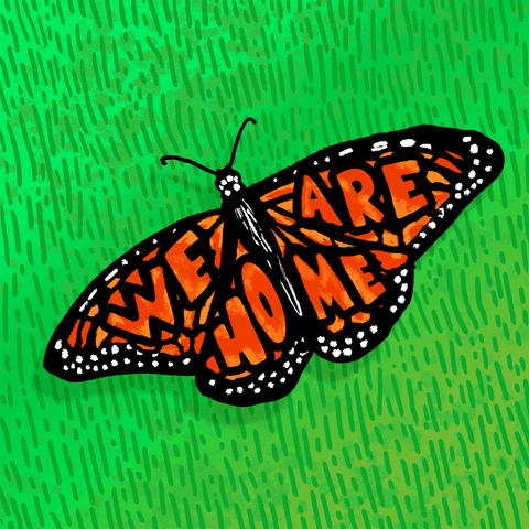 6 GIFs to Support Immigrant Lives by Creative Courage | GIPHY