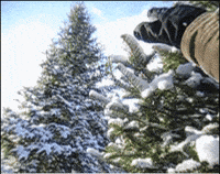 Slow Happy Realization Gif