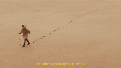 Wondering Around GIFs - Get the best GIF on GIPHY