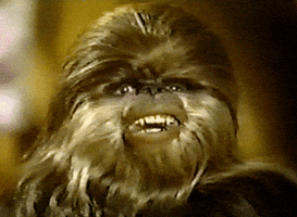 Chewie and his son : r/movies