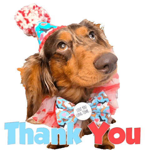 Thank You Puppy Gif