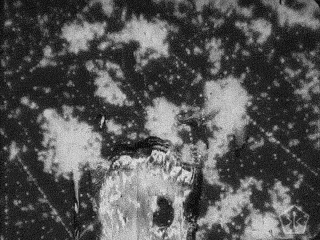 Bacillus Typhosus GIFs - Get the best GIF on GIPHY