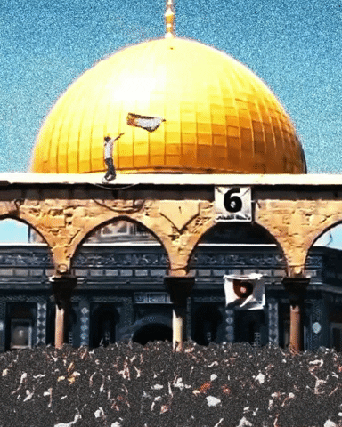 Gaza Protests GIFs - Get the best GIF on GIPHY