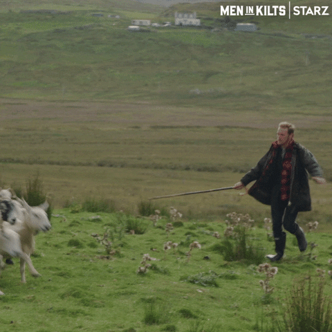 Herding GIFs - Get the best GIF on GIPHY