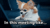 Meeting Meeting GIFs - Find & Share on GIPHY