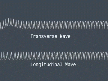 Transverse Wave GIFs - Get the best GIF on GIPHY