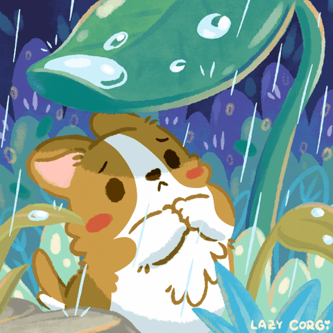 Rain Dog GIFs - Get the best GIF on GIPHY