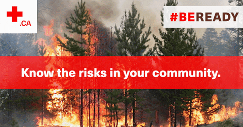 Emergency Kit GIFs - Get the best GIF on GIPHY
