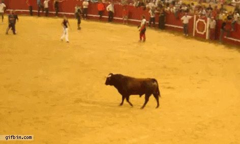 New trending GIF tagged jumping brave bull toreador… | Trending Gifs