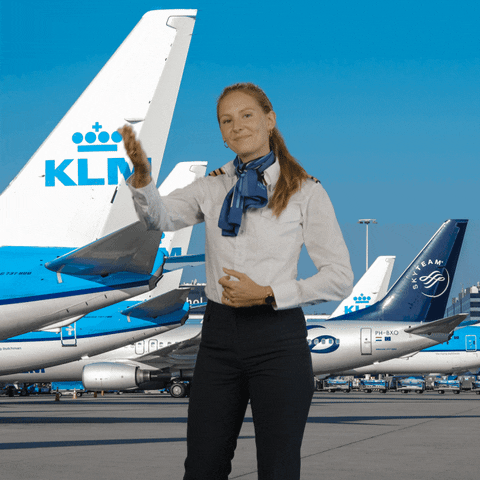 KLM Cockpit & Cabin Crew GIFs on GIPHY - Be Animated