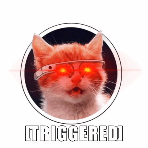 Cat Triggering GIF by Product Hunt - Find & Share on GIPHY