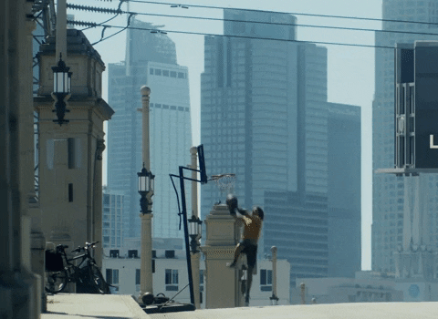 Songbird GIFs on GIPHY - Be Animated