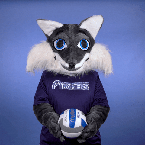 Super-f GIFs - Get the best GIF on GIPHY