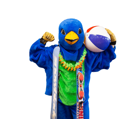 Spring GIFs on GIPHY - Be Animated