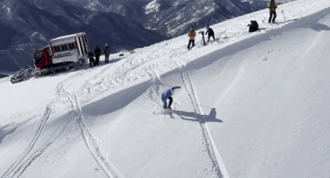 Snow Fail GIF by 1st Look - Find & Share on GIPHY
